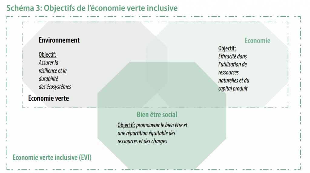 L’économie verte inclusive : de quoi parle-t-on ? – GRAAD Burkina